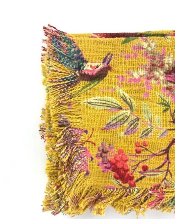 Blazing Daisy - La Diva Waihi